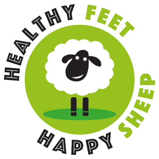 Flock Health > Resource Hub > How to keep sheep feet healthy
